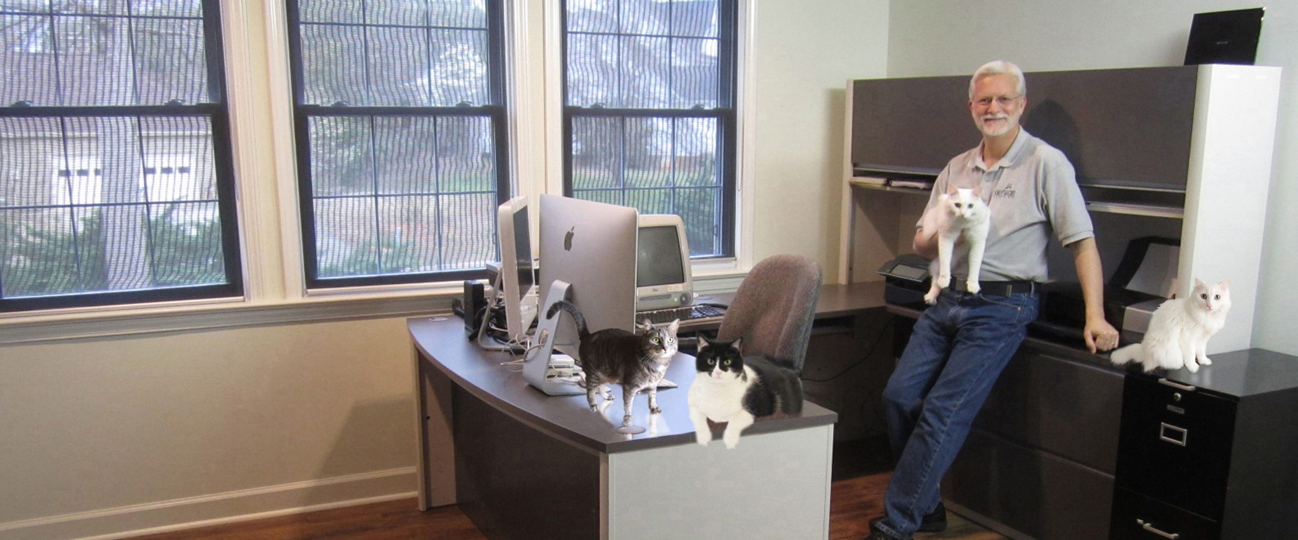 Office Photo - Out of Sight Litter Box